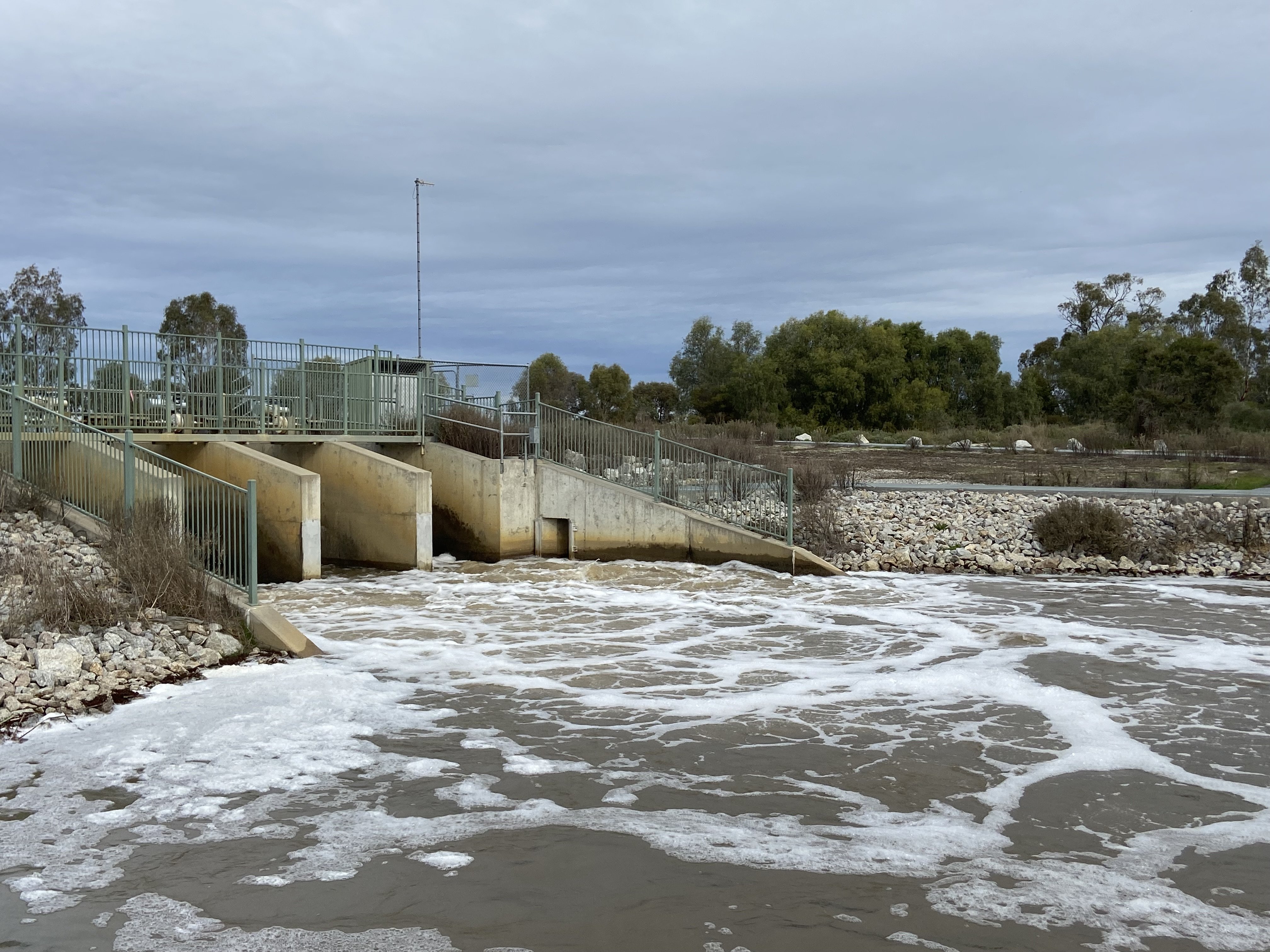 Native Fish Recovery Plan | North Central Catchment Management Authority