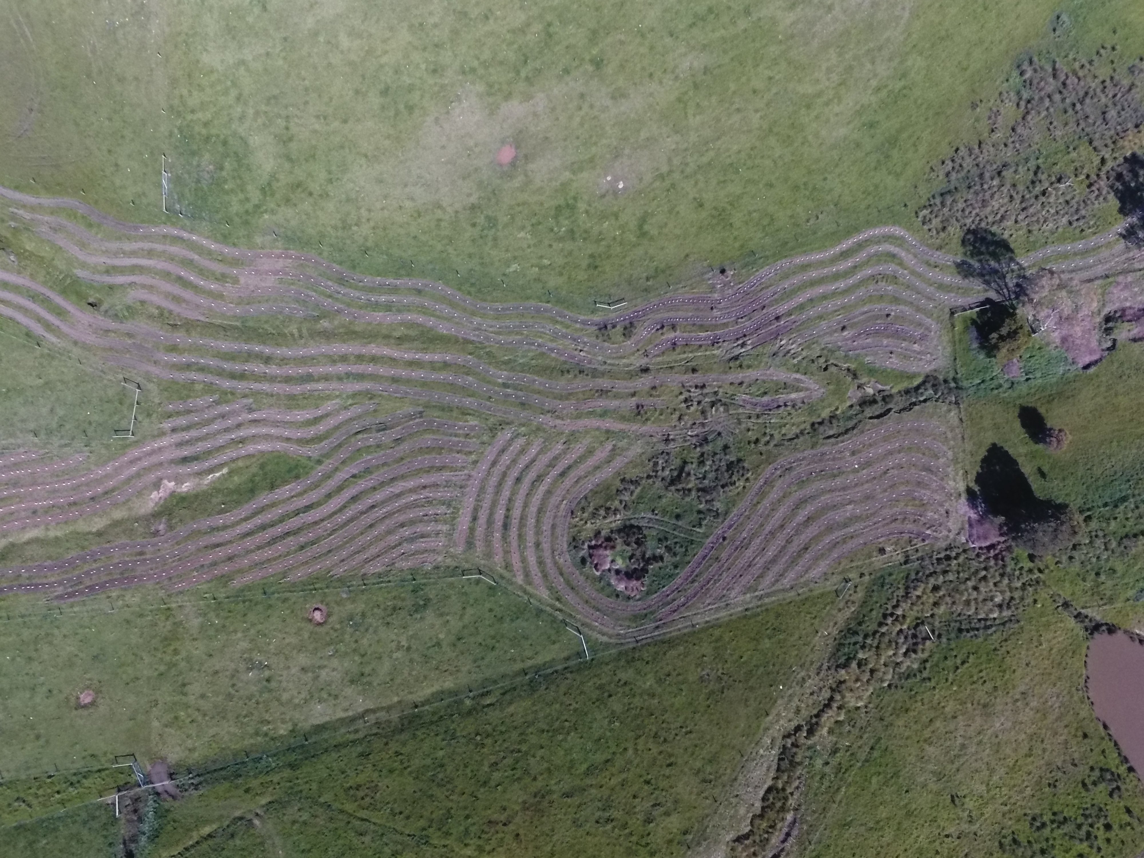 Coliban River | North Central Catchment Management Authority