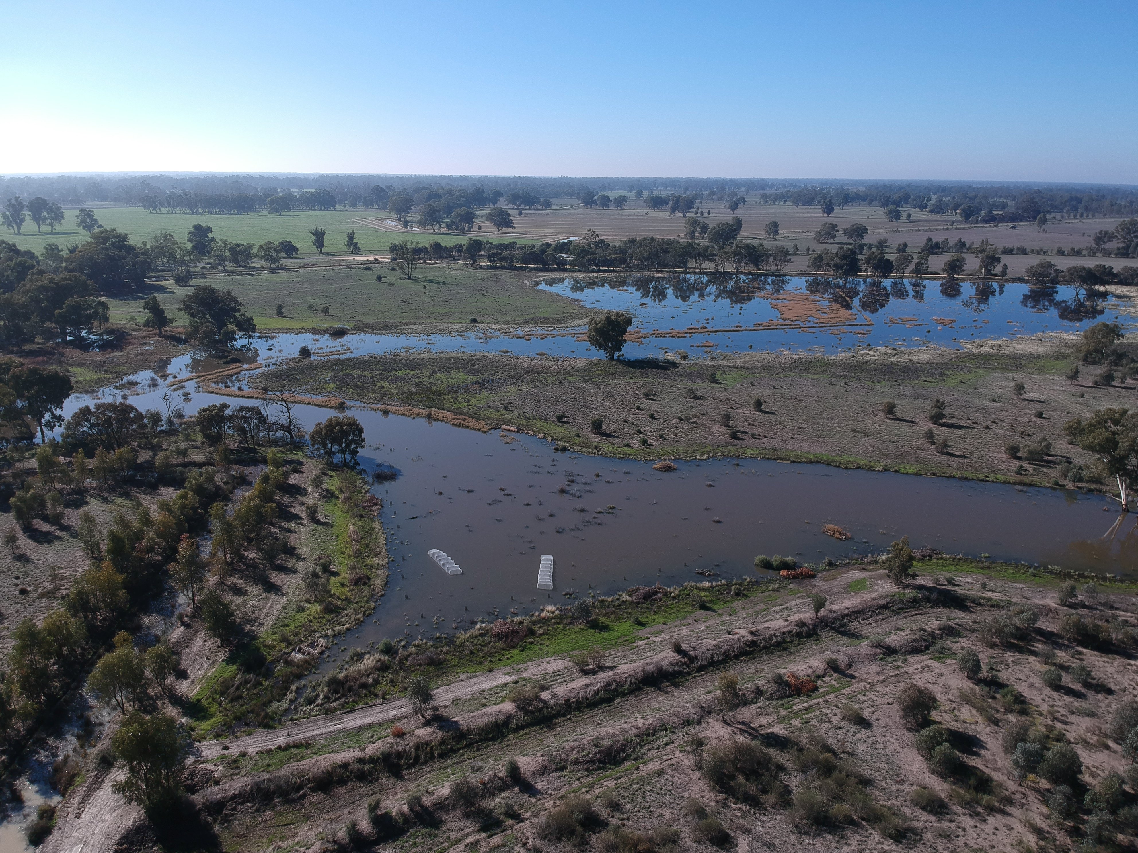 Loddon Murray Wetlands | North Central Catchment Management Authority