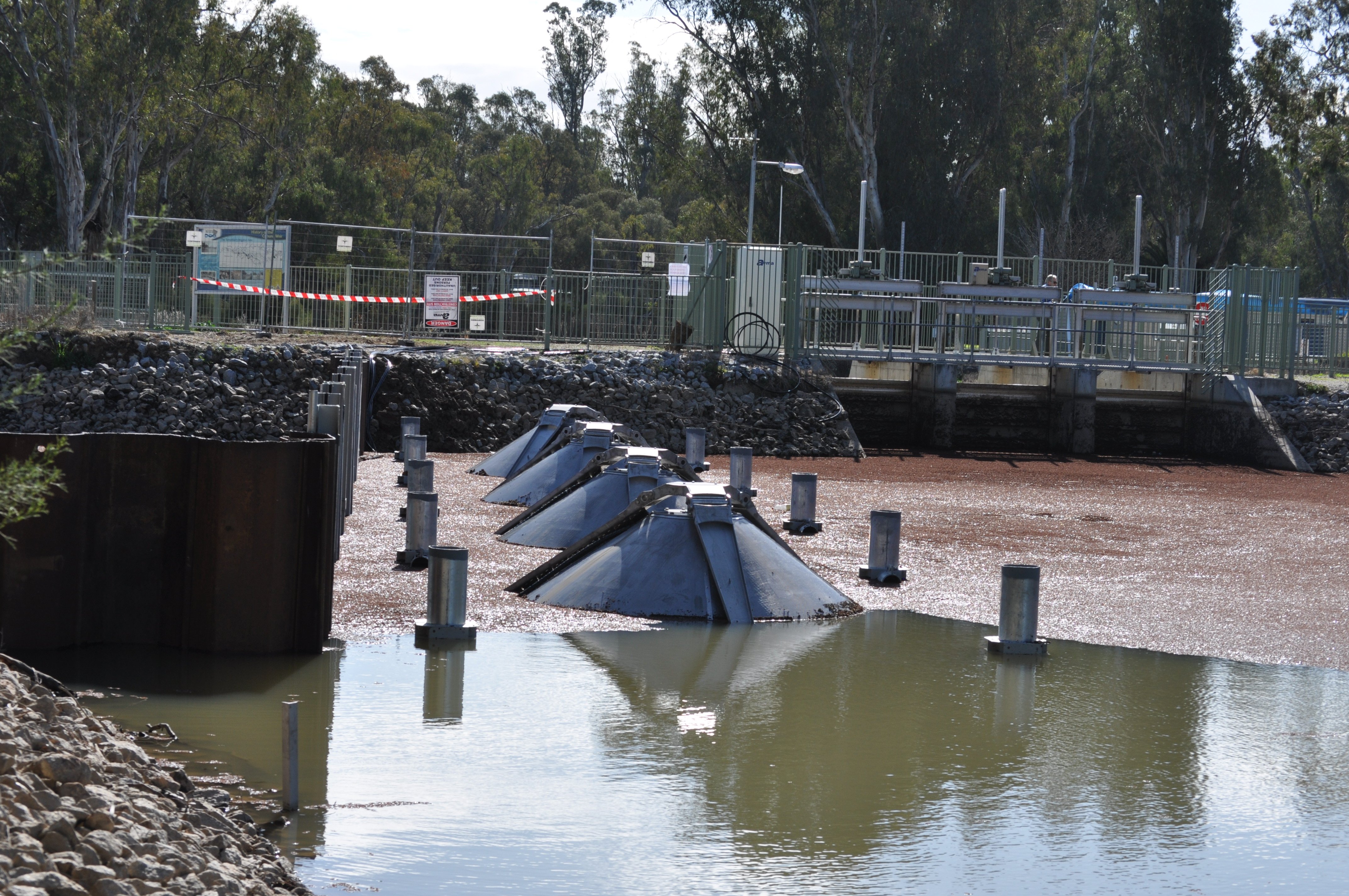 Native Fish Recovery Plan | North Central Catchment Management Authority