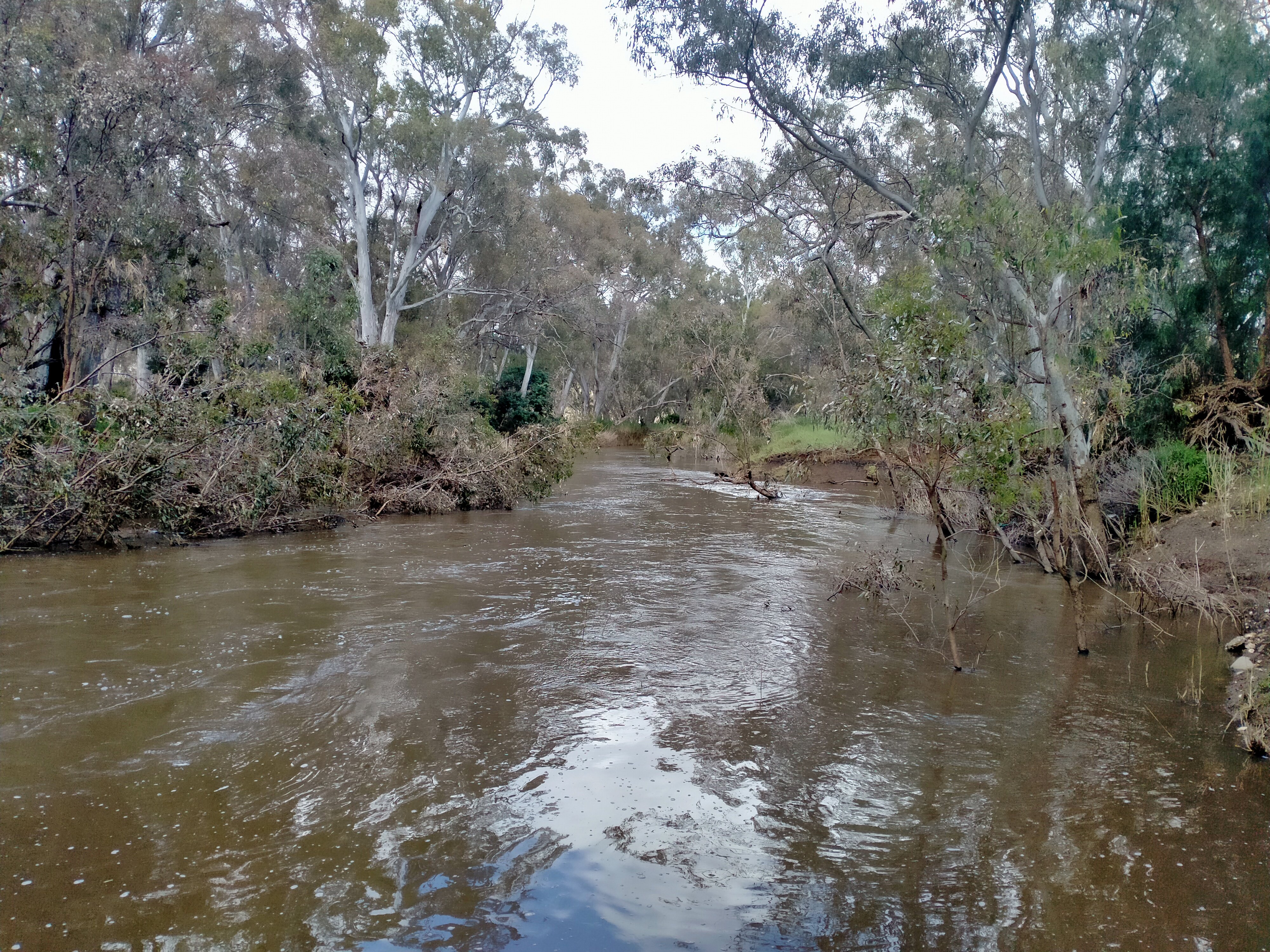 Loddon River | North Central Catchment Management Authority