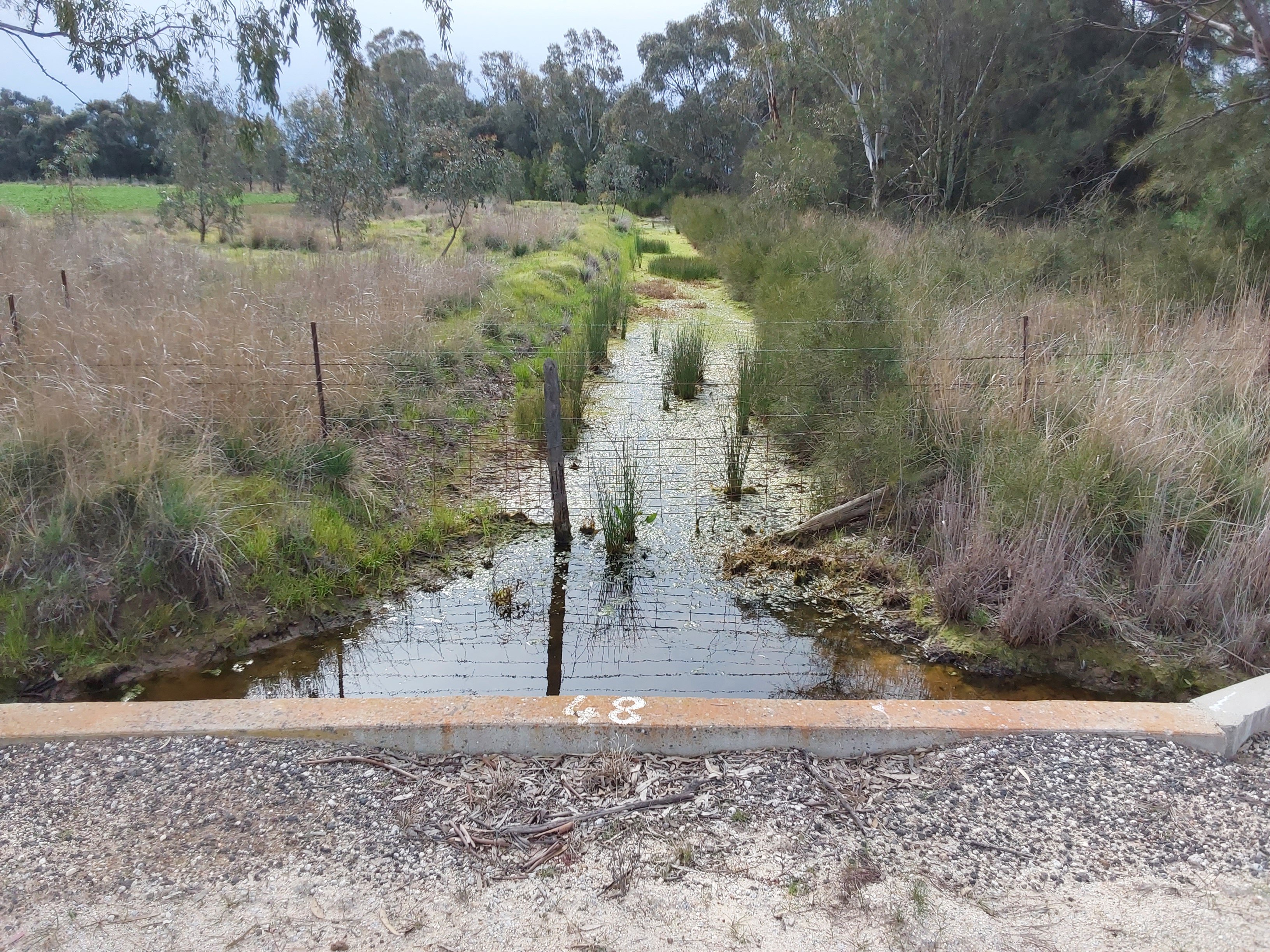 Drainage | North Central Catchment Management Authority