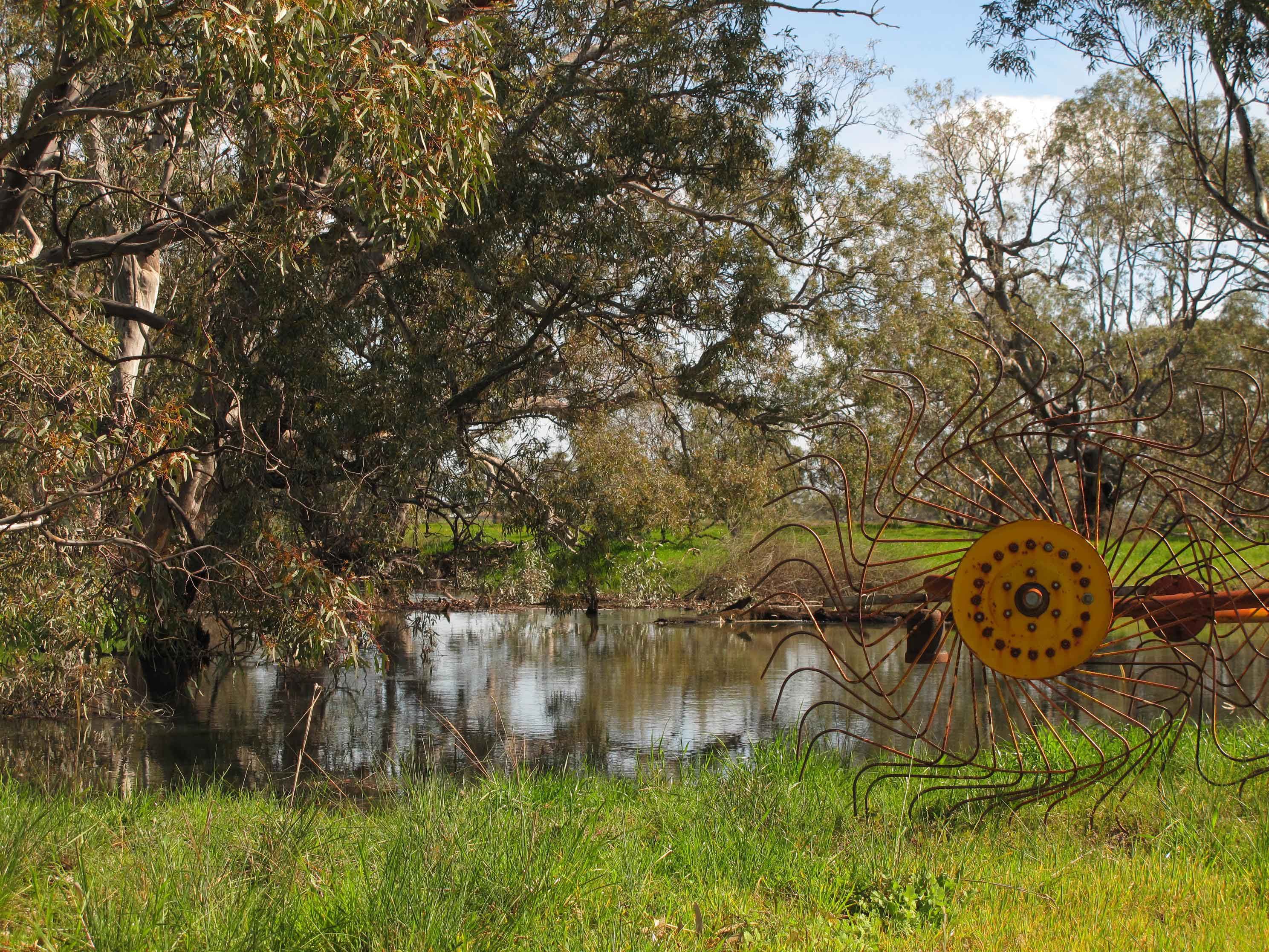 Loddon River | North Central Catchment Management Authority