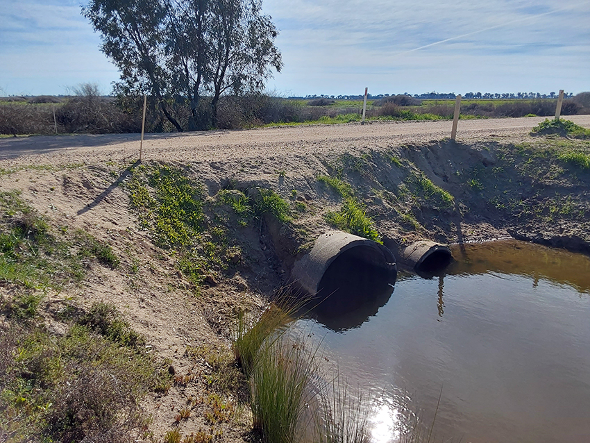 Sustainable Agriculture | North Central Catchment Management Authority