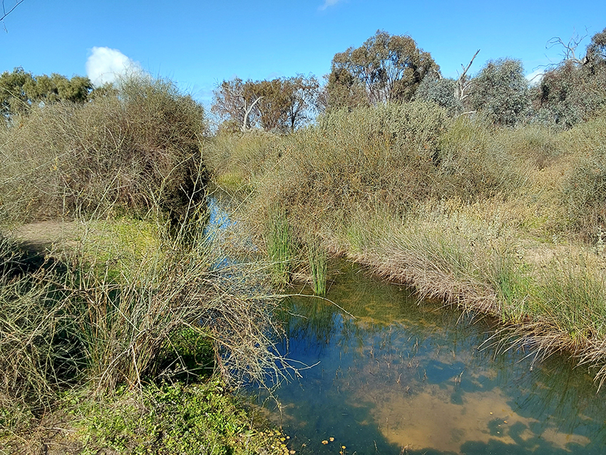 Drainage | North Central Catchment Management Authority