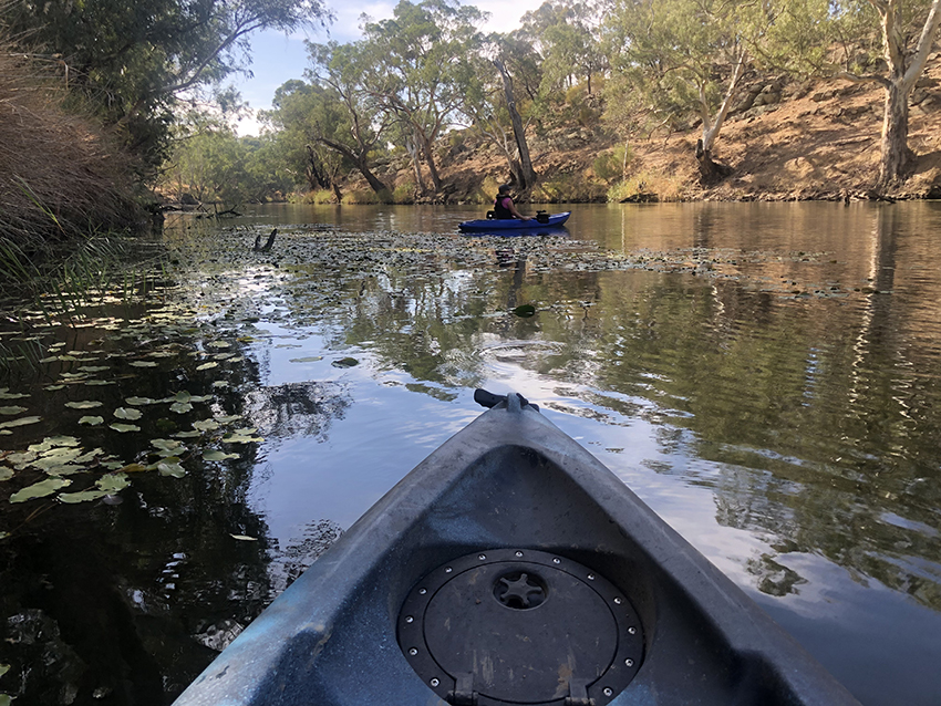 Projects | North Central Catchment Management Authority