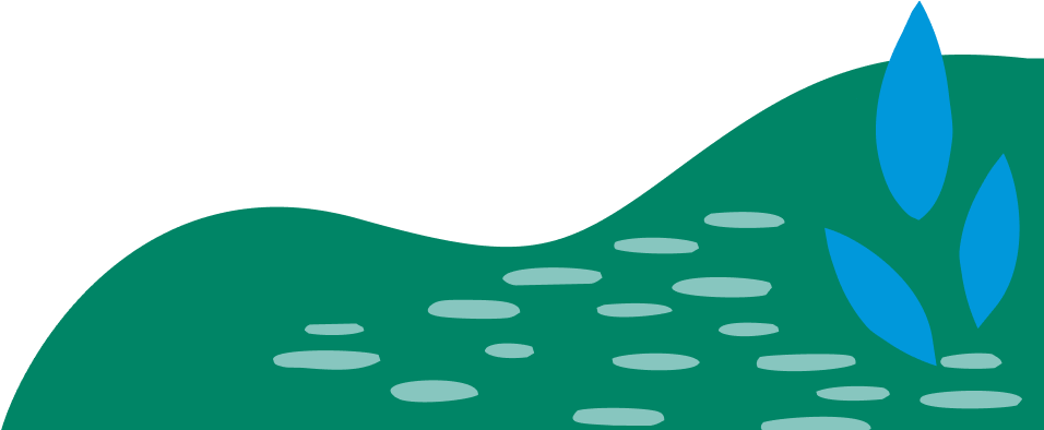 Regional Floodplain Management Strategy | North Central Catchment ...