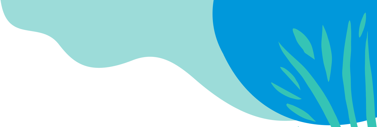 Regional Floodplain Management Strategy | North Central Catchment ...